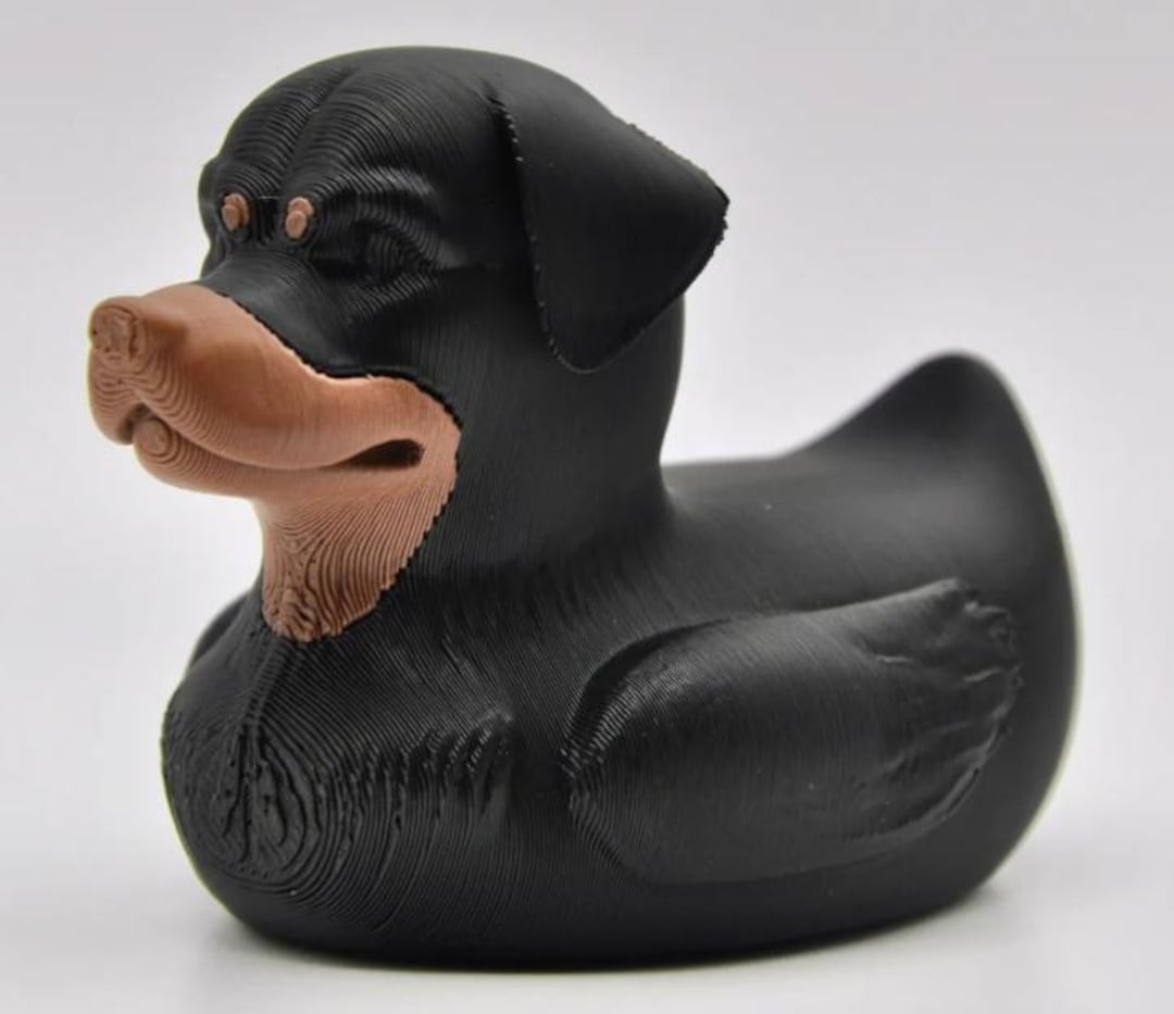 Rottweiler Duck, Ducking, Dashboard Buddy, Custom Duck, Get Ducked - Etsy