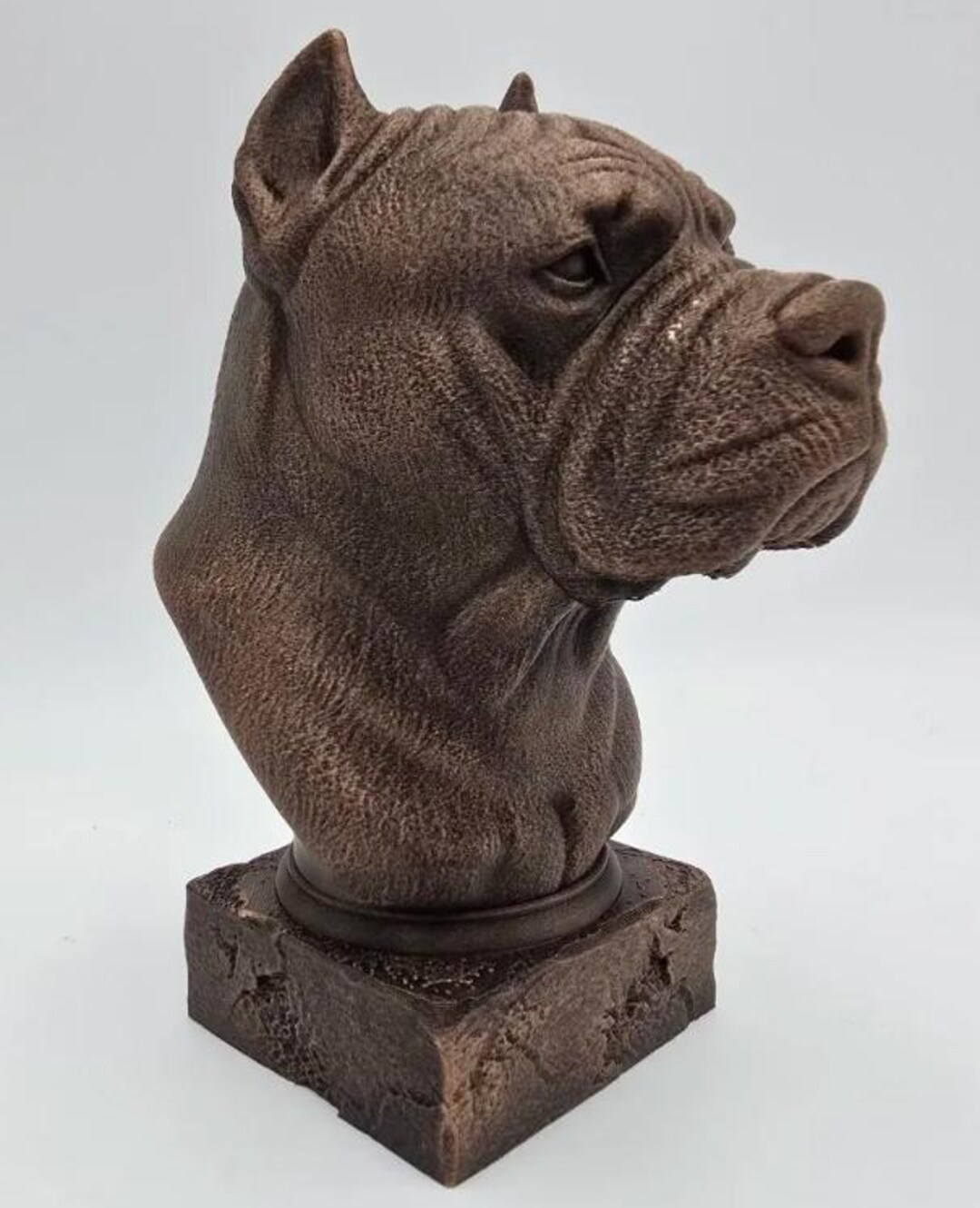 Cane Corso Bust on a Cracked Stone Base Home Decor Statue Bookend ...