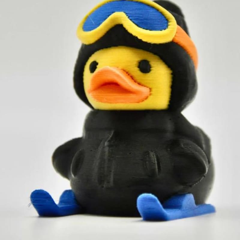 Snow Ski Duck - Etsy