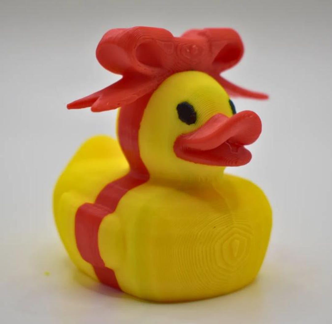 Present Duck, Gift Duck, Dashboard Buddy, Ducking, Custom Duck, Get ...