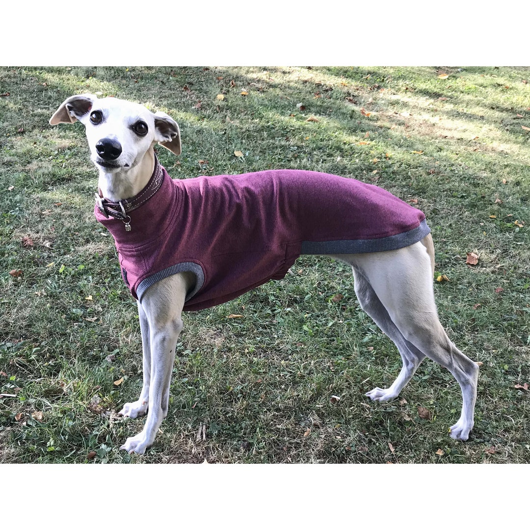 Whippet Shirt, Whippet Sweatshirt, Whippet Vest, Autumn Dog Clothing ...