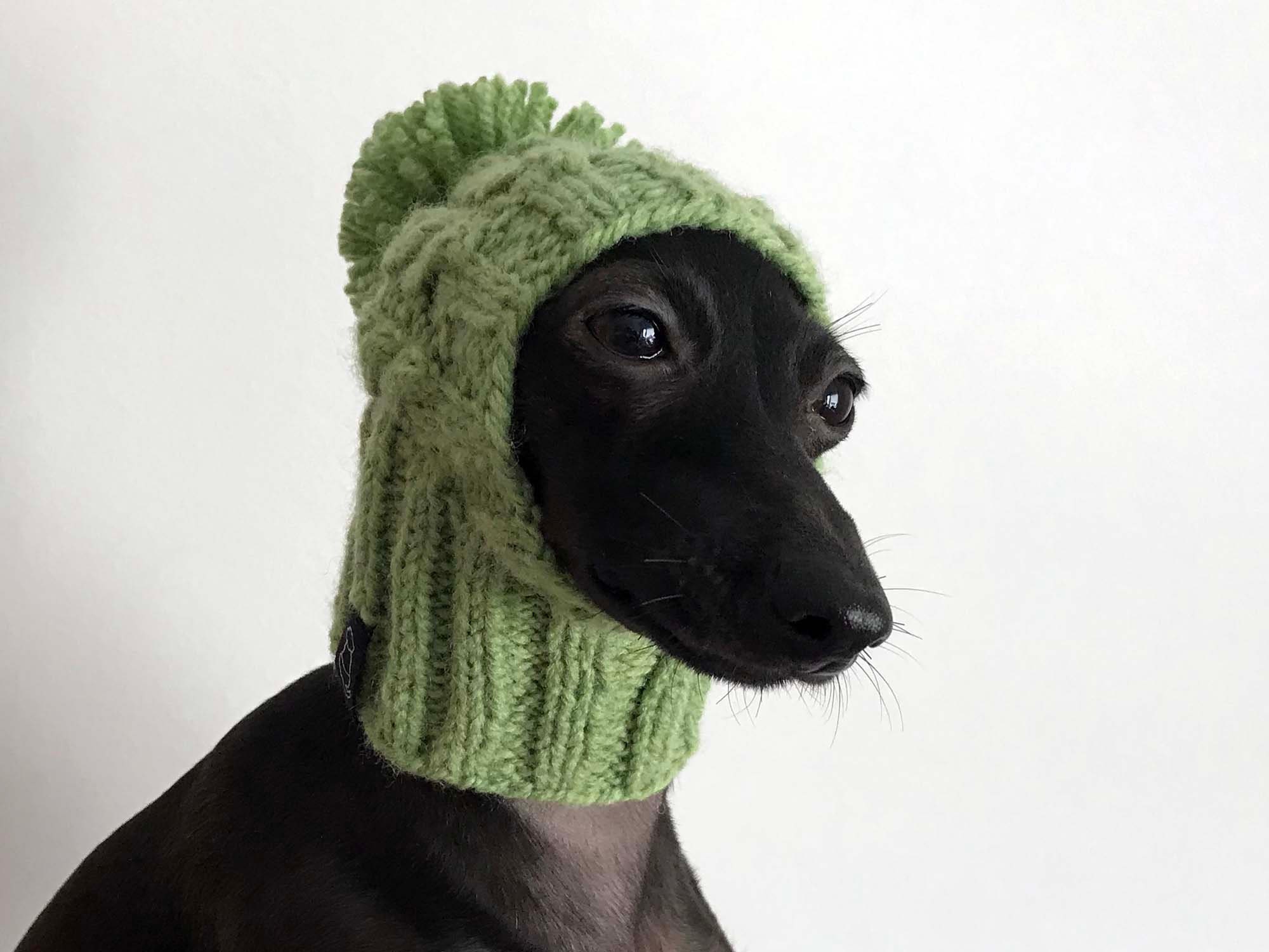 Pom Pom Dog Hat, Cable Dog Hat, Greyhound Hat, Italian Greyhound Hat ...