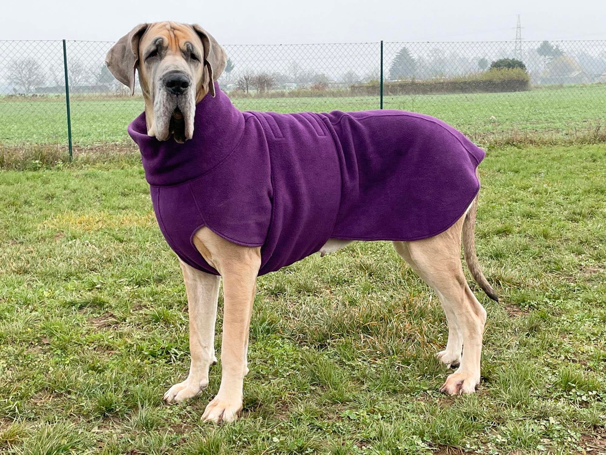 Great Dane Coat, Great Dane Fleece Coat, Dog Trench Coat, Fleece Dog ...