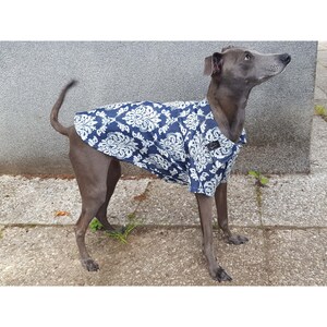 Italian Greyhound Summer Shirt. Italian Greyhound Denim Shirt, Dog ...