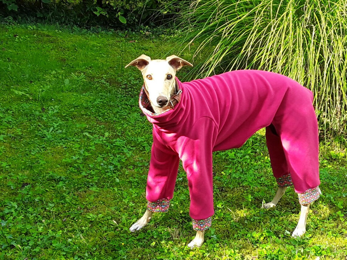 Greyhound Pajamas, Greyhound Fleece Pajamas, Galgo Pajamas, Dog Pajamas ...
