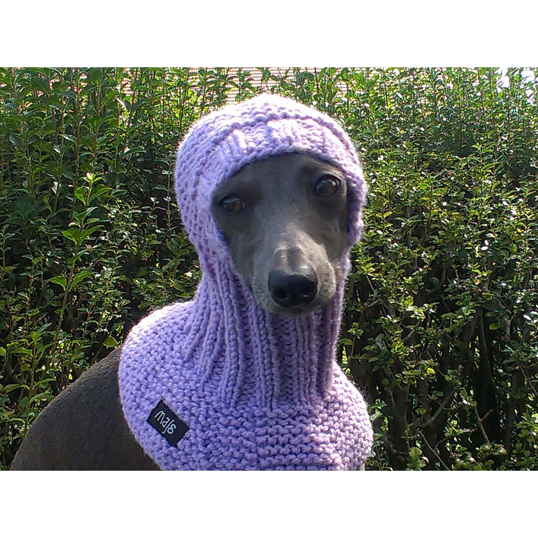 Italian Greyhound Snood With a Tassel, Greyhound Hat, Hand Knit Dog Hat ...