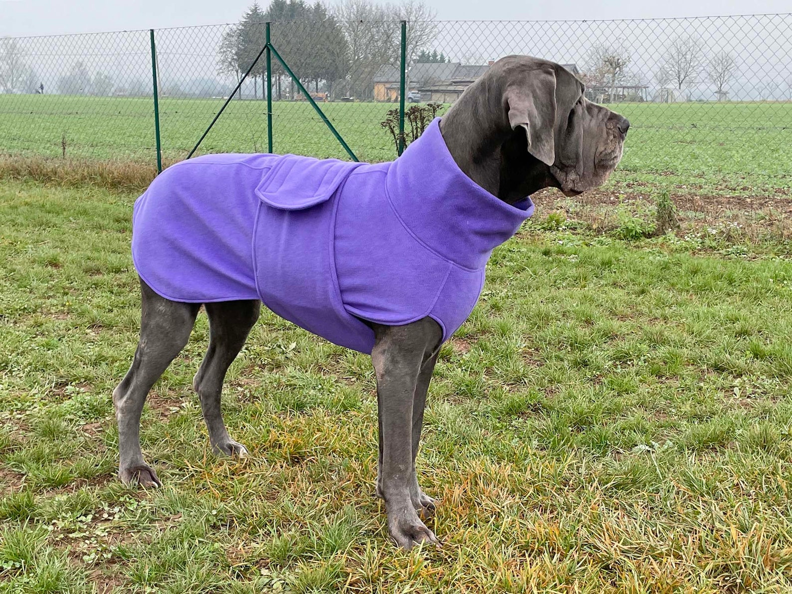 Great Dane Coat, Great Dane Fleece Coat, Dog Trench Coat, Fleece Dog ...