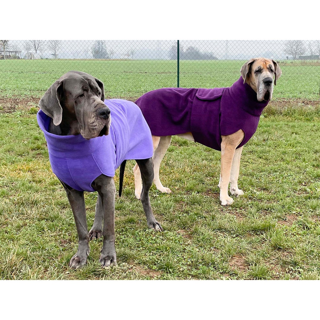 Great Dane Coat, Great Dane Fleece Coat, Dog Trench Coat, Fleece Dog ...