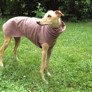 Greyhound Coat, Greyhound Fleece Coat, Dog Trench Coat, Fleece Dog ...
