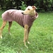 Greyhound Coat, Greyhound Fleece Coat, Dog Trench Coat, Fleece Dog ...