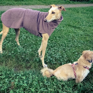 Greyhound Coat, Greyhound Fleece Coat, Dog Trench Coat, Fleece Dog ...