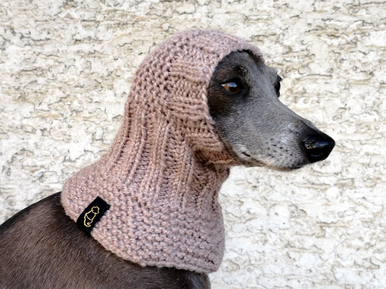 Italian Greyhound Snood, Dog Snood, Dog Hat, Greyhound Hat, Hand Knit ...