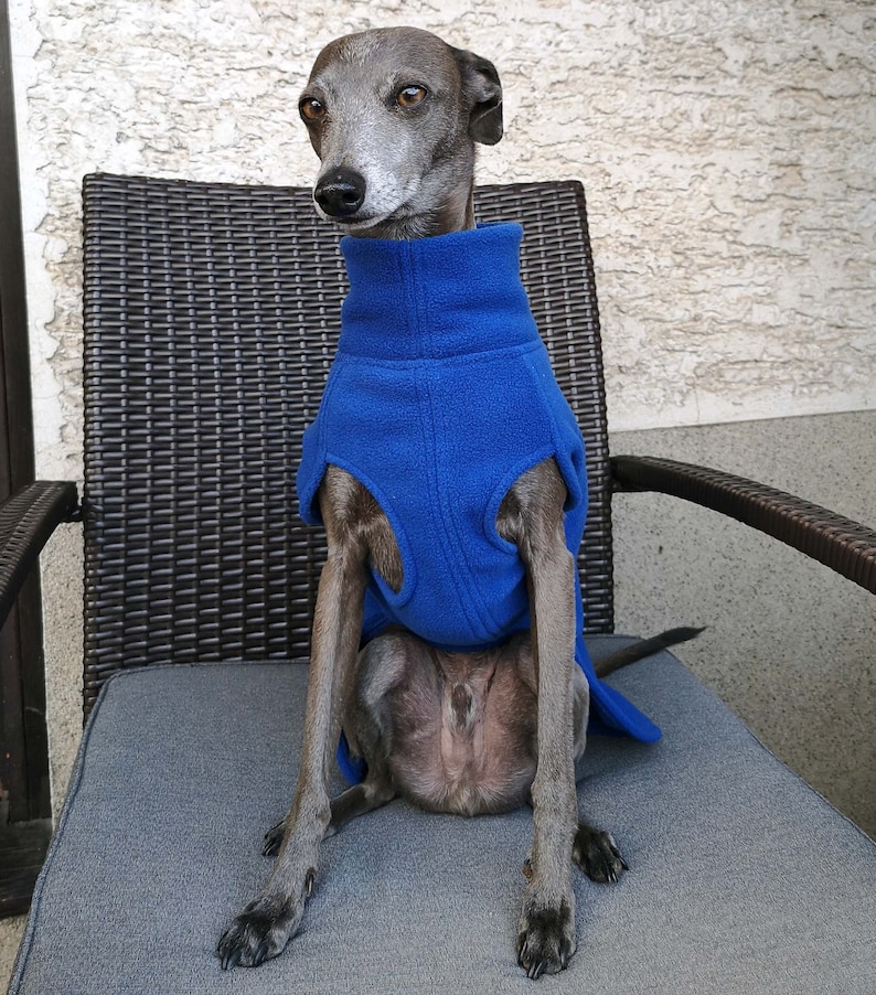 Italian Greyhound Coat Italian Greyhound Fleece Coat Dog - Etsy