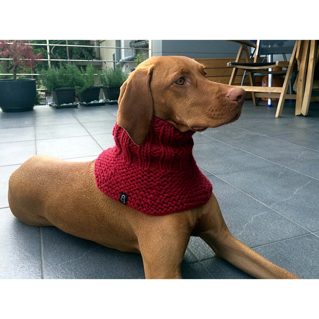 Dog Neckwarmer, Dog Scarf, Dog Snood - Etsy