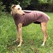 Greyhound Coat, Greyhound Fleece Coat, Dog Trench Coat, Fleece Dog ...