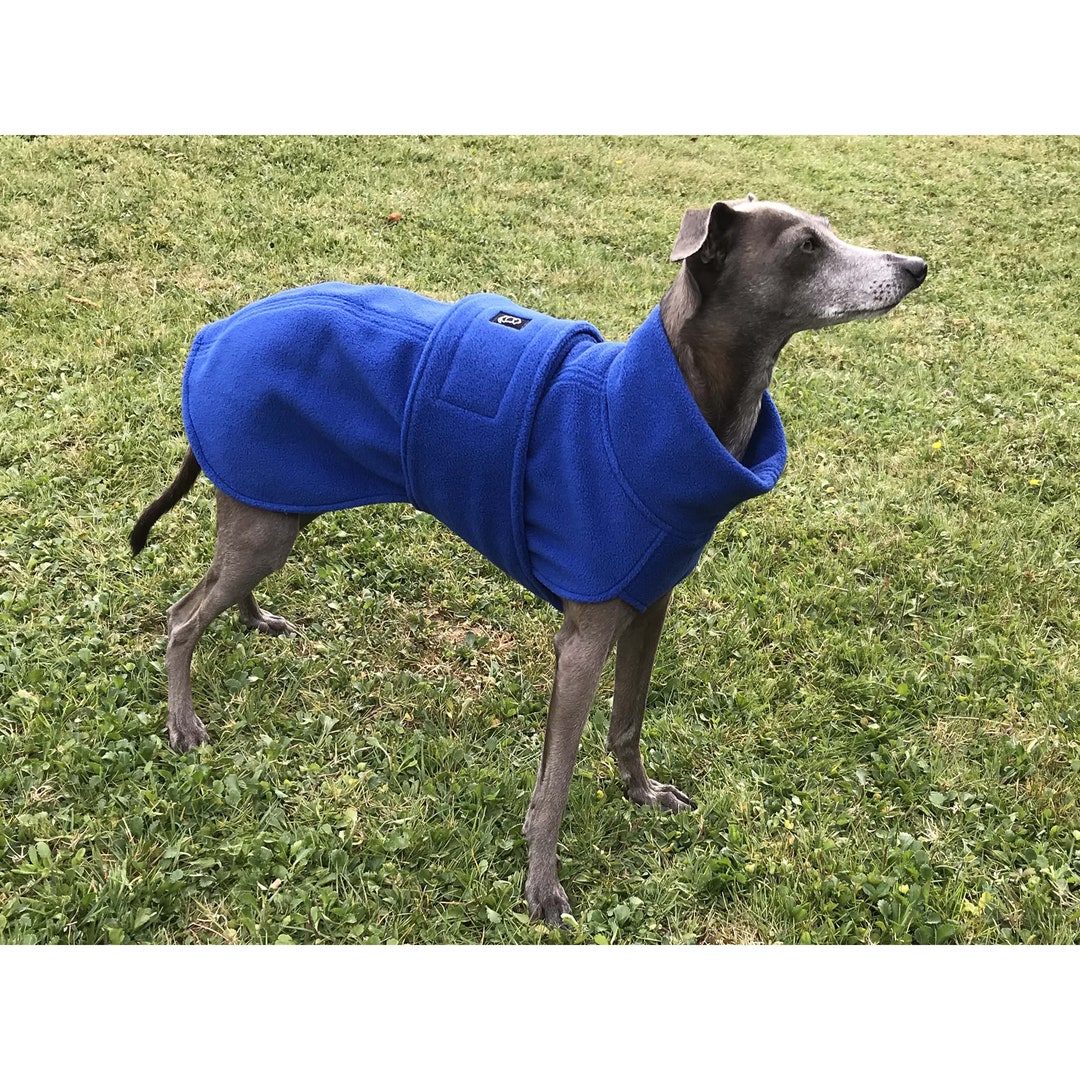 Italian Greyhound Coat, Italian Greyhound Fleece Coat, Dog Trench Coat ...