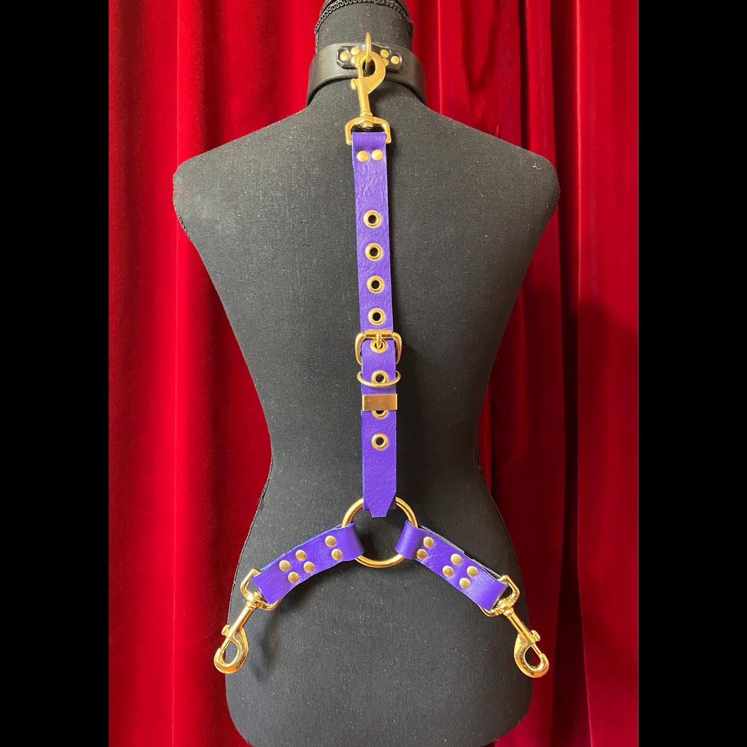 Adjustable Leather BDSM Back Strap | Restraint for Neck to Wrists or ...