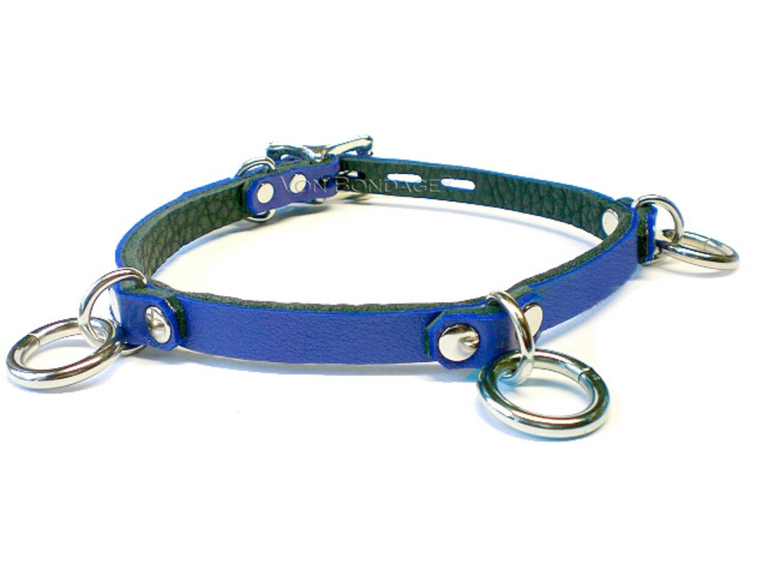 Blue Day Collar, Locking Ring Collar, BDSM Collar, Slave Day Choker ...