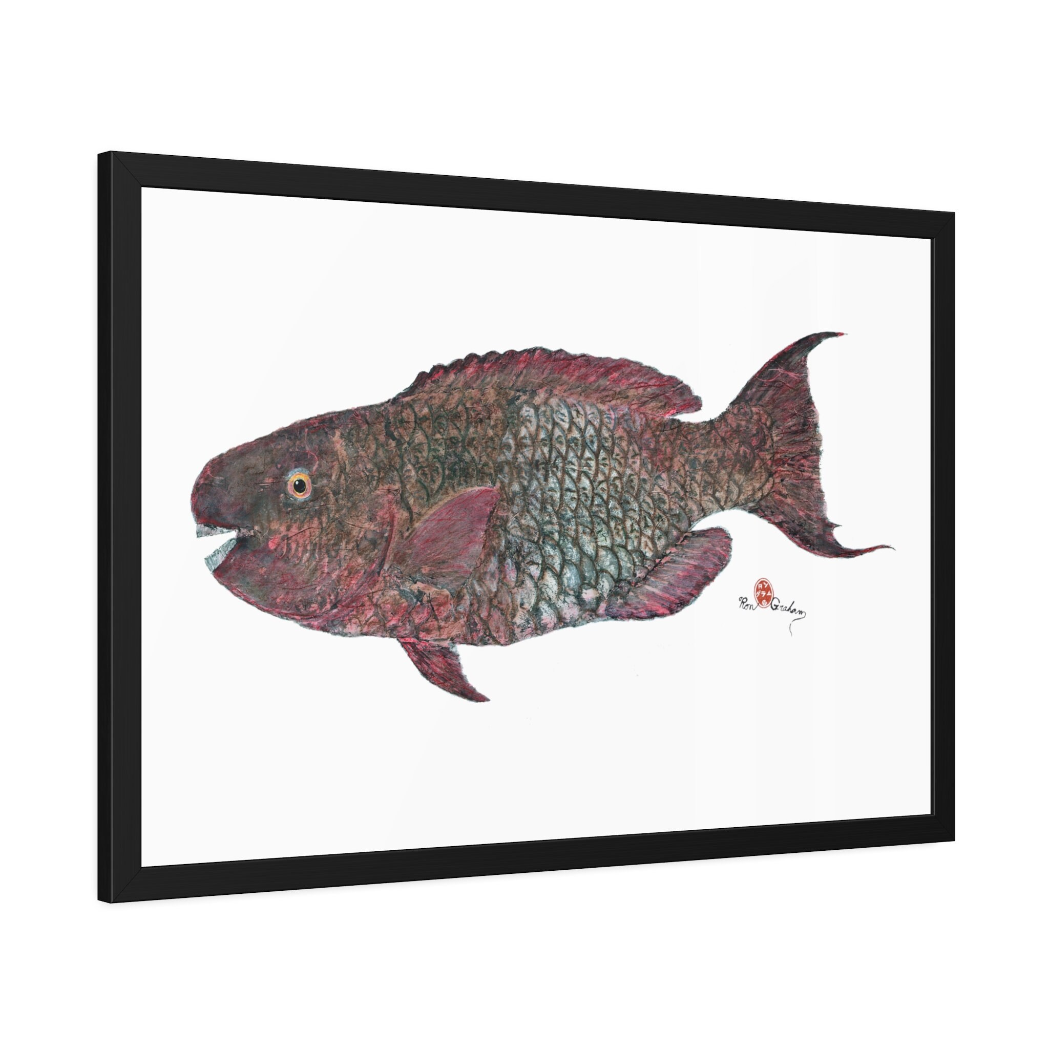 Female Whiptail Uhu redlip Parrot Fish Gyotaku Fish Rubbing Reproduced ...