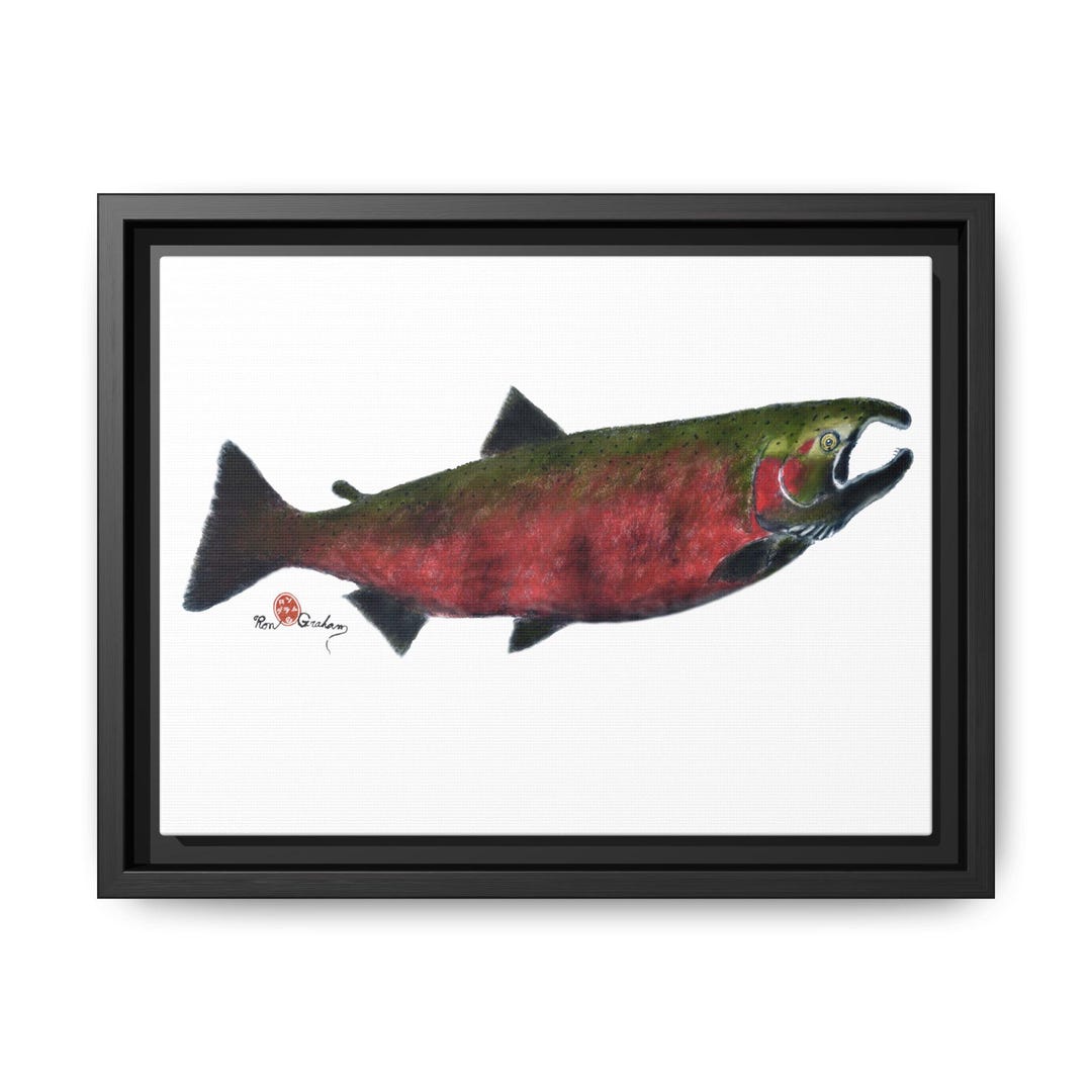 Silver (coho) Salmon - Male Spawning Colors - Gyotaku Fish Rubbing ...