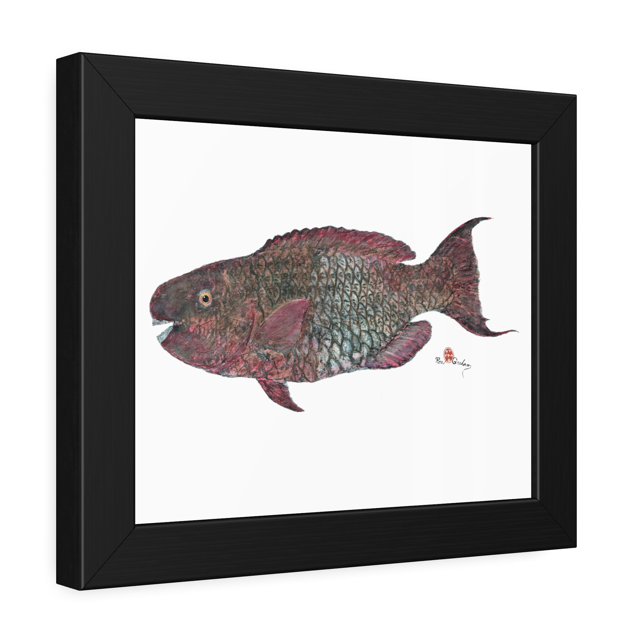 Female Whiptail Uhu redlip Parrot Fish Gyotaku Fish Rubbing Reproduced ...