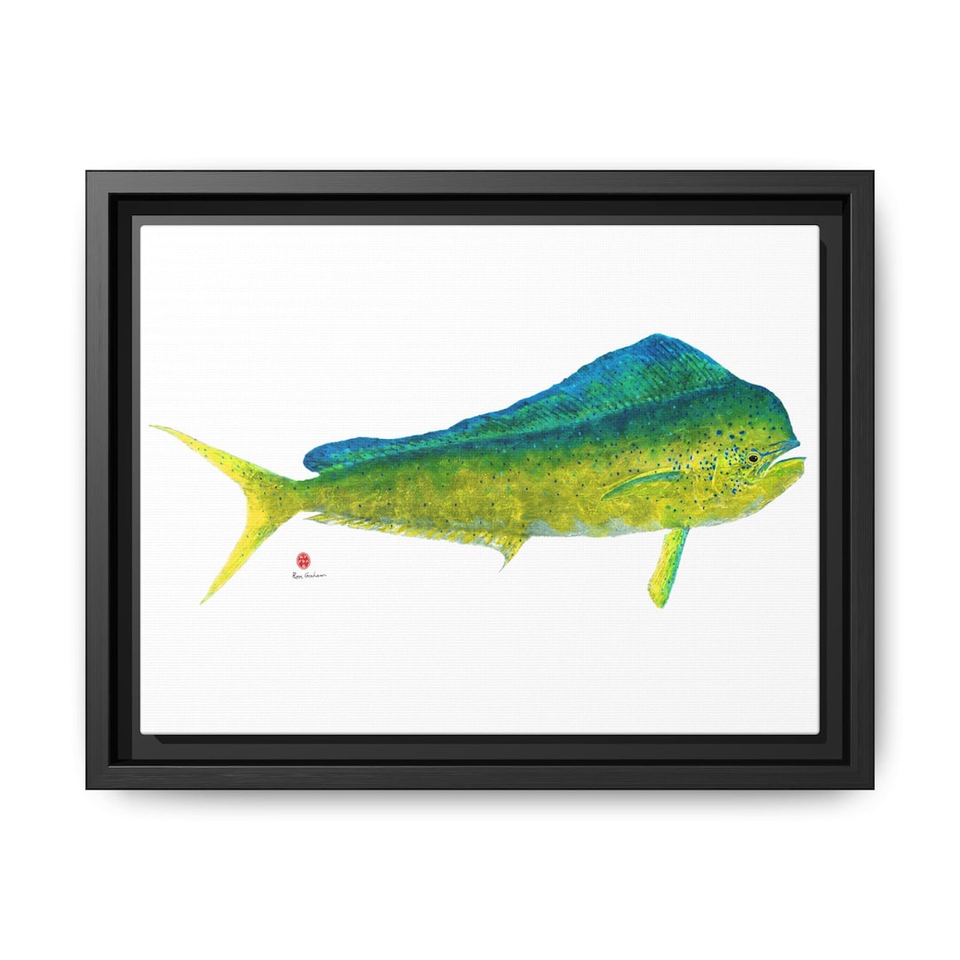 Bull Mahi (dorado) - Gyotaku Fish Rubbing - Matte Canvas, Black Frame ...