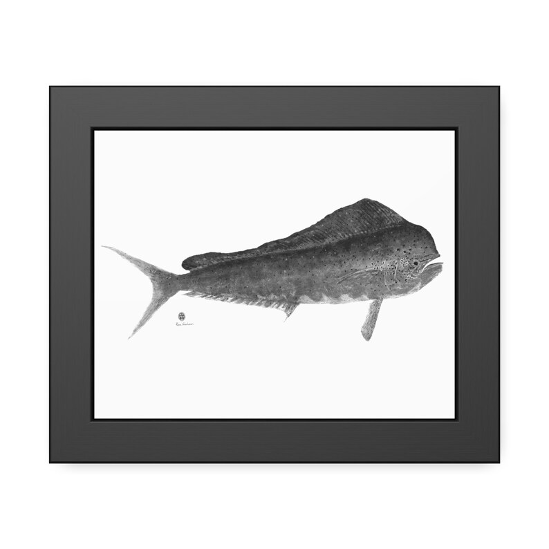 Bull Mahi dorado Gyotaku Fish Rubbing Reproduced on 310gsm Fine Art ...