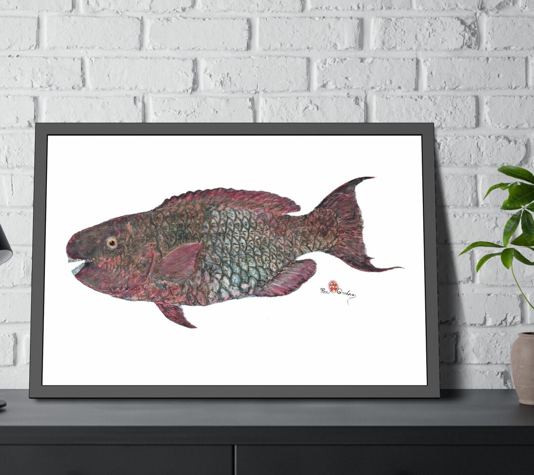 Female Whiptail Uhu redlip Parrot Fish Gyotaku Fish Rubbing Reproduced ...