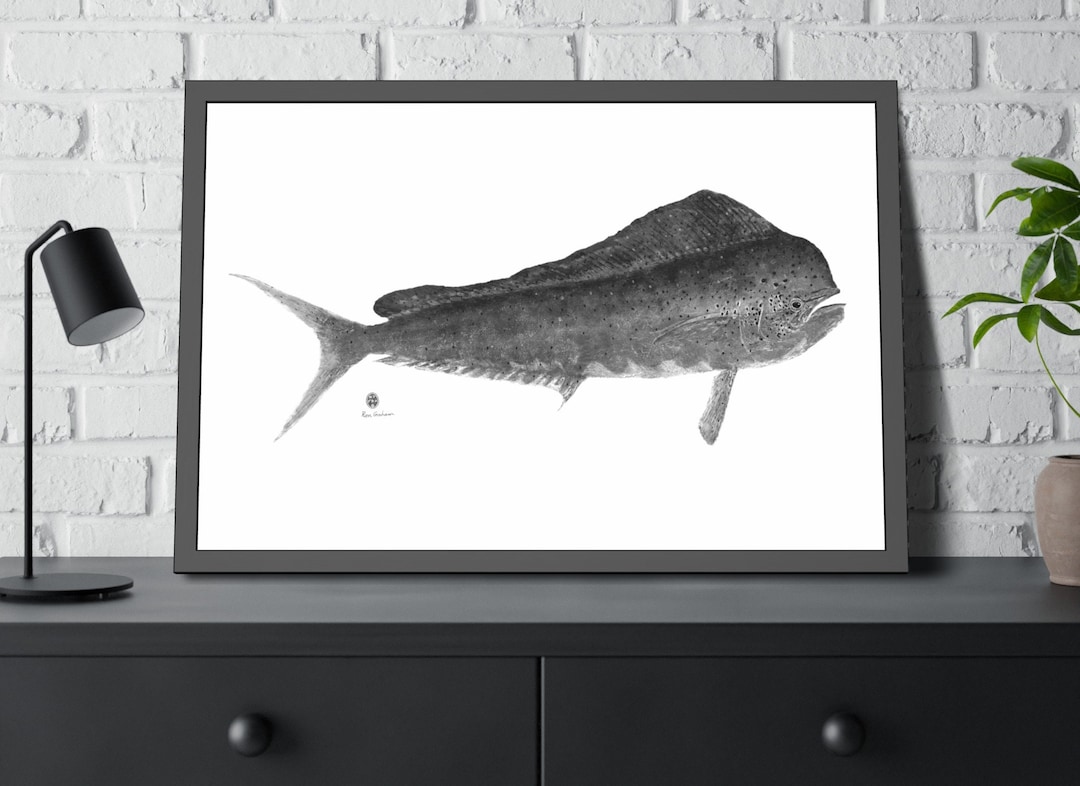 Bull Mahi dorado Gyotaku Fish Rubbing Reproduced on 310gsm Fine Art ...