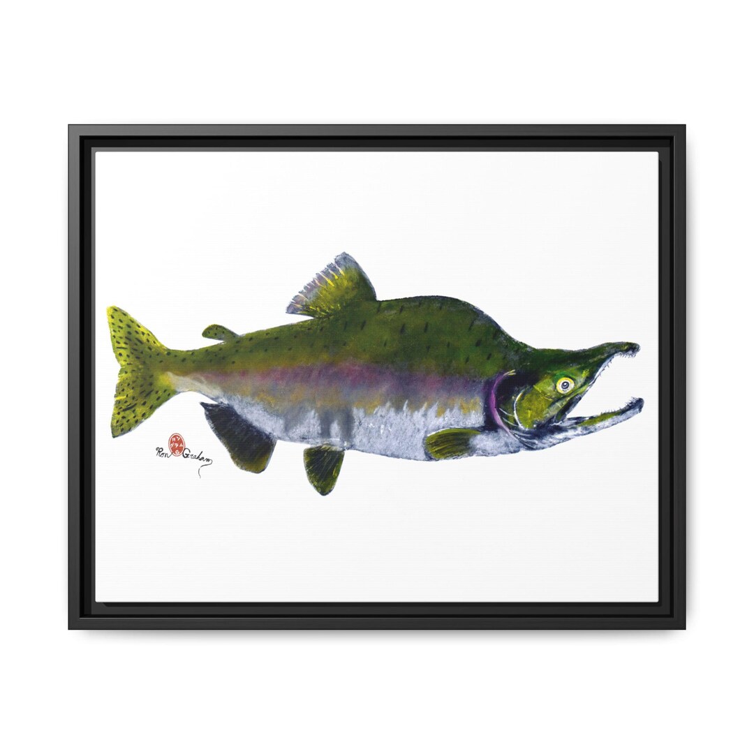 Pink (humpy) Salmon Salmon - Gyotaku Fish Rubbing - Matte Canvas, Black ...