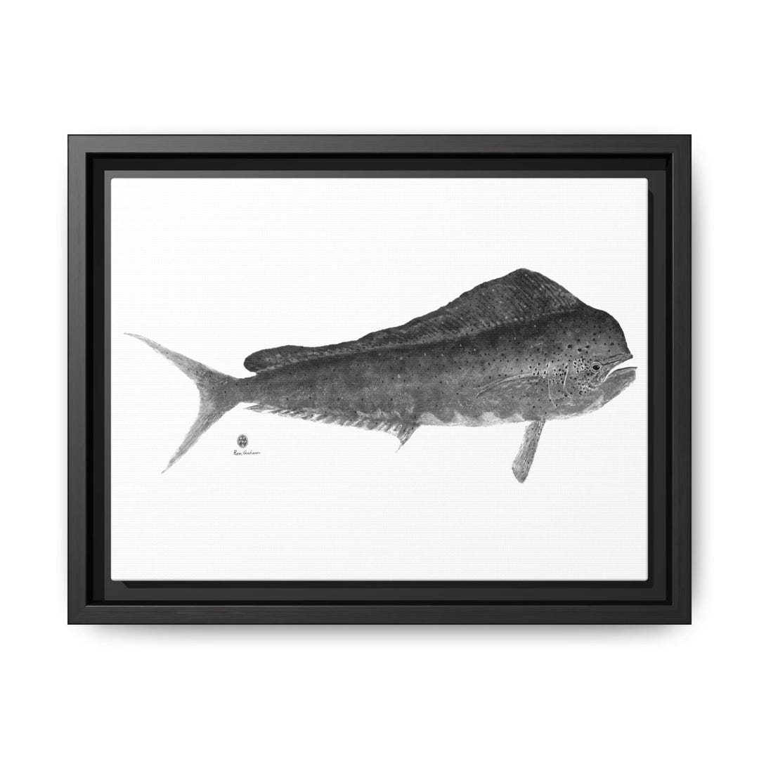 Bull Mahi (dorado) - Gyotaku Fish Rubbing - Matte Canvas, Black Frame ...