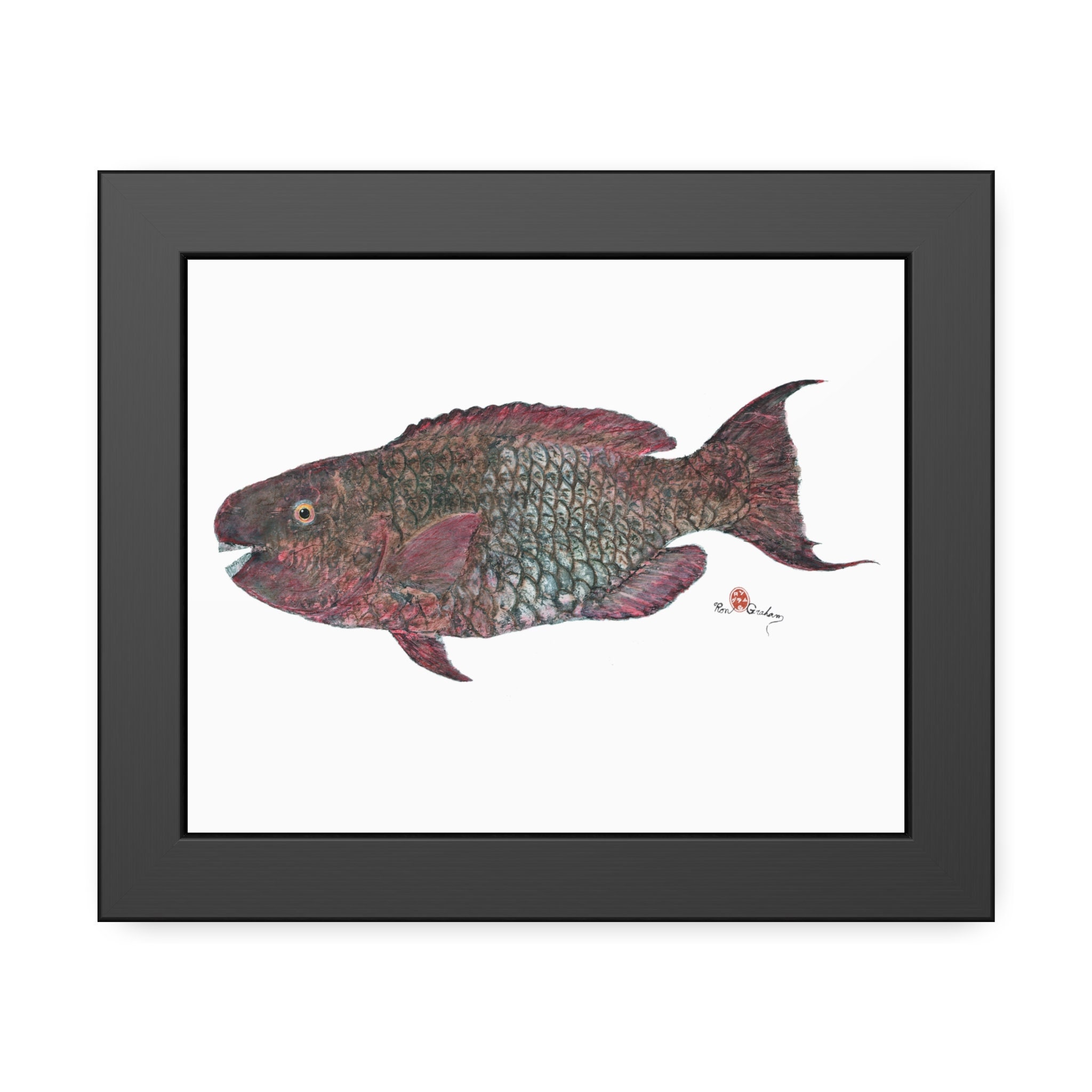 Female Whiptail Uhu redlip Parrot Fish Gyotaku Fish Rubbing Reproduced ...