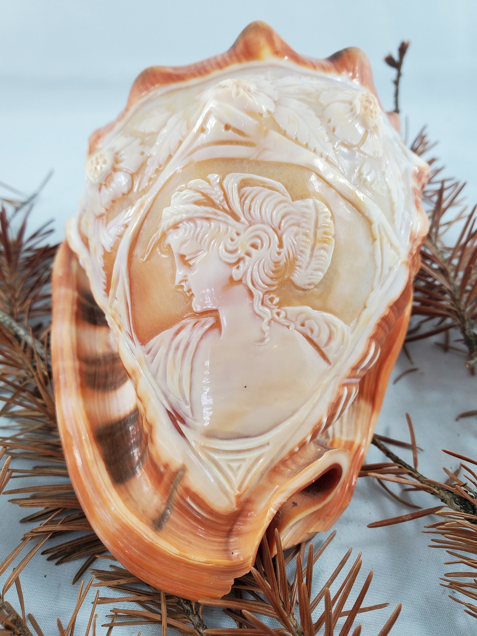 Carved Cameo Shell Vintage Signed Italian Hand Carved - Etsy Sweden