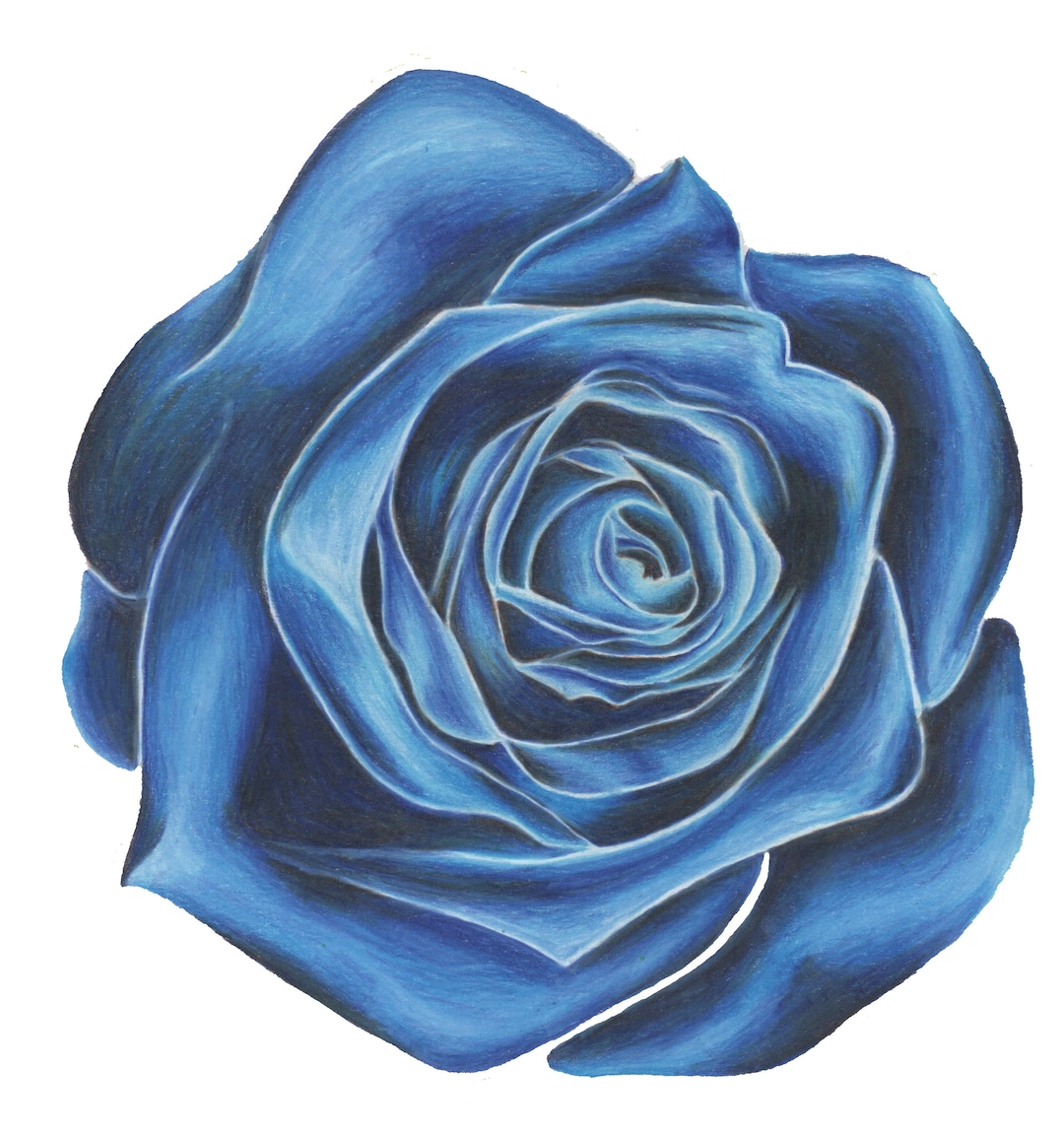 Blue Rose Print - Etsy