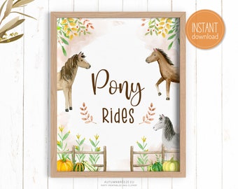 Pony Rides Sign - Etsy