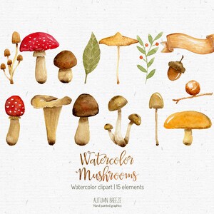 Watercolor Mushroom Clipart, Woodland Clipart, Watercolor Forest ...