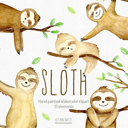 Sloth. Little Animals Watercolor Clipart Sleepy Sloths - Etsy