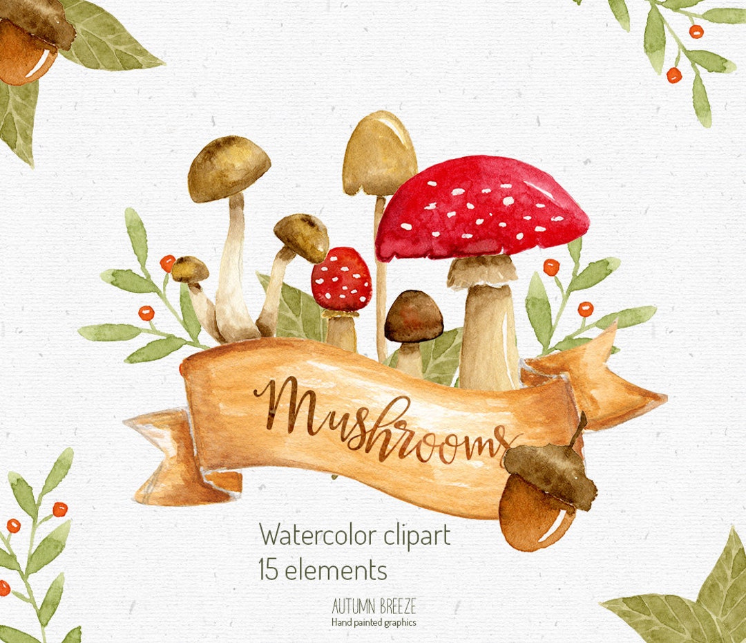 Watercolor Mushroom Clipart, Woodland Clipart, Watercolor Forest ...