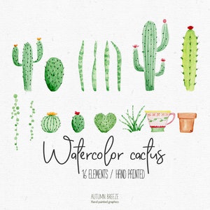 Watercolor Cactus Clipart, Succulent Clipart,greenery Clipart, Cacti ...
