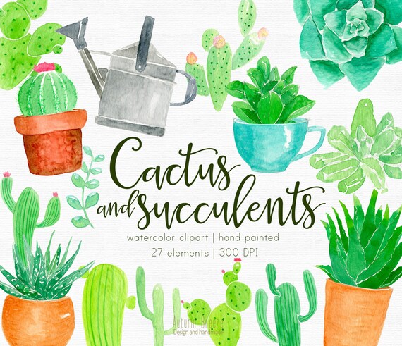 Watercolor cactus clipart succulent clipart watercolor | Etsy