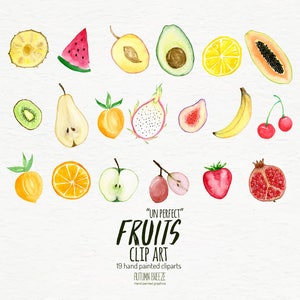Watercolor Fruit Clipart, Food Clip Art, Hand Painted, Healthy, Fruits ...