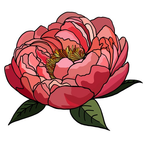 Peony SVG - Etsy