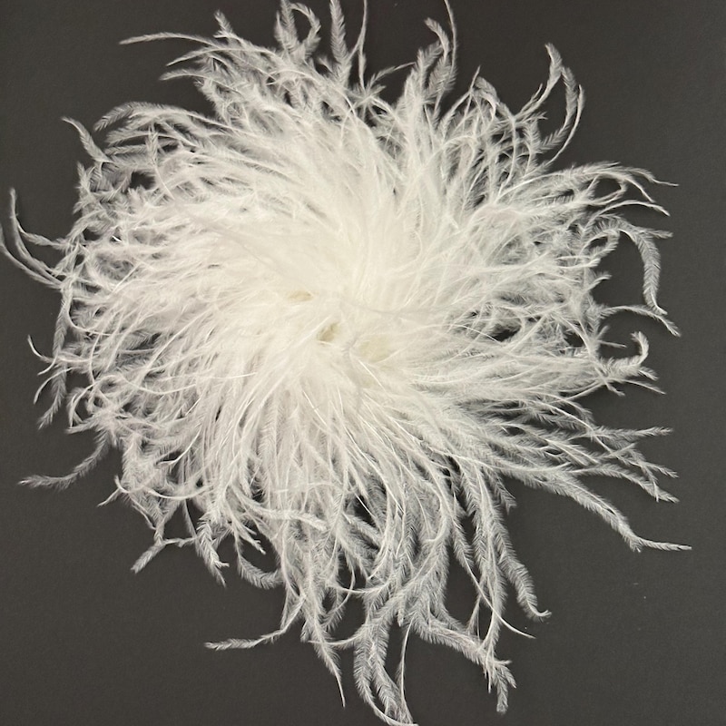 Blush Boa Feathers - Etsy