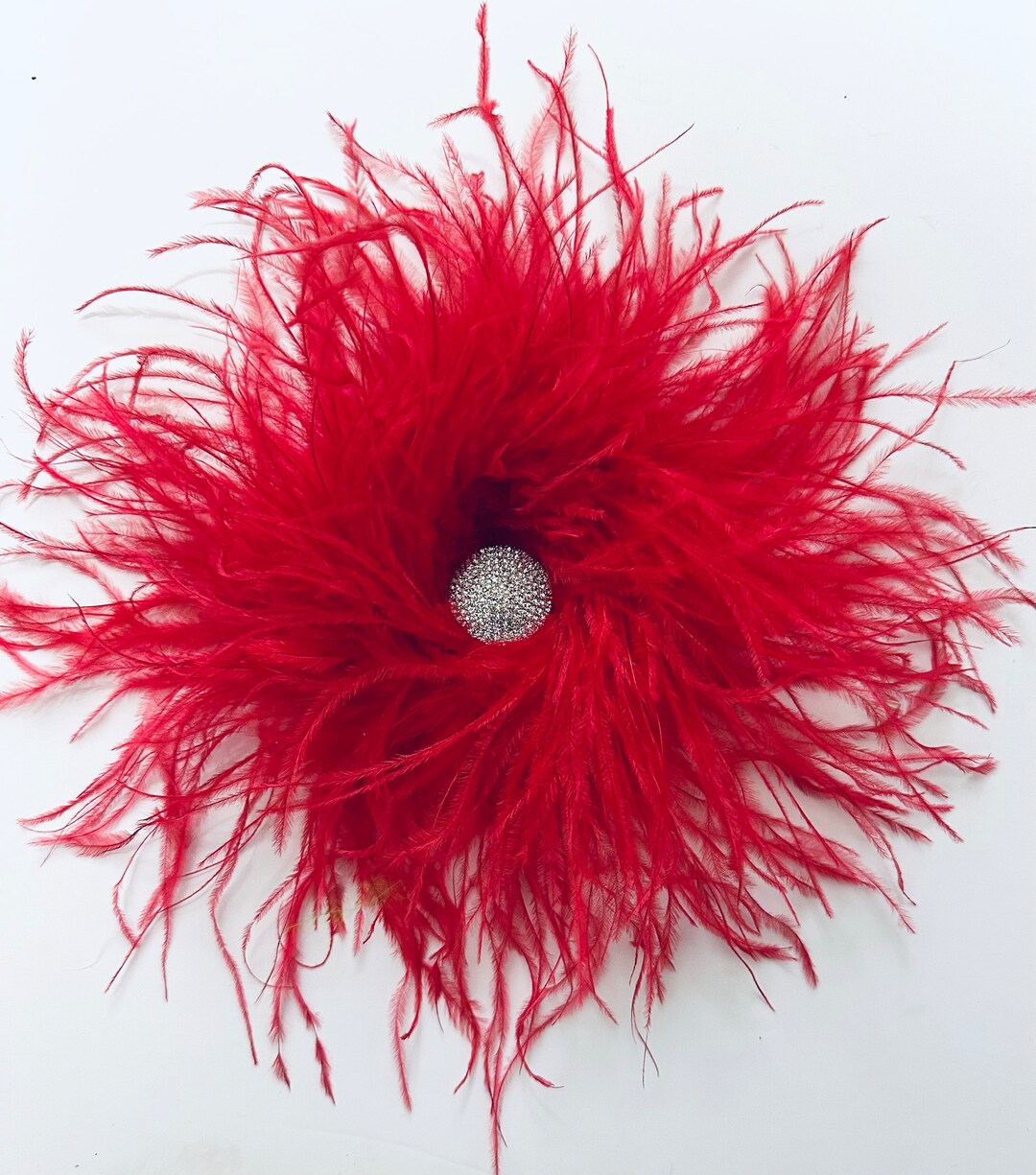 Red Feather Brooch,ostrich Feather Wrist Cuffs, Feather Shoe Clips ...