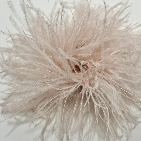 Feather Shoe Clips - Etsy