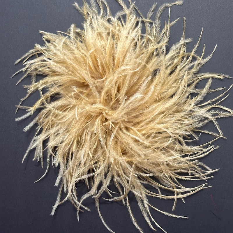 Blue Purple Hair Feathers - Etsy