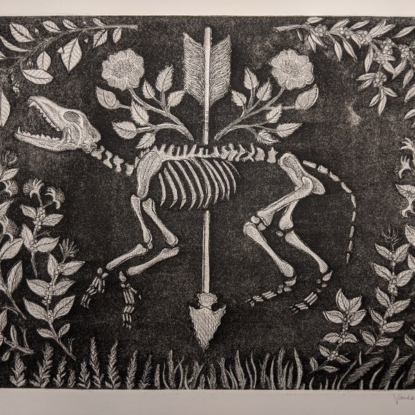 Coyote Skeleton - Etsy