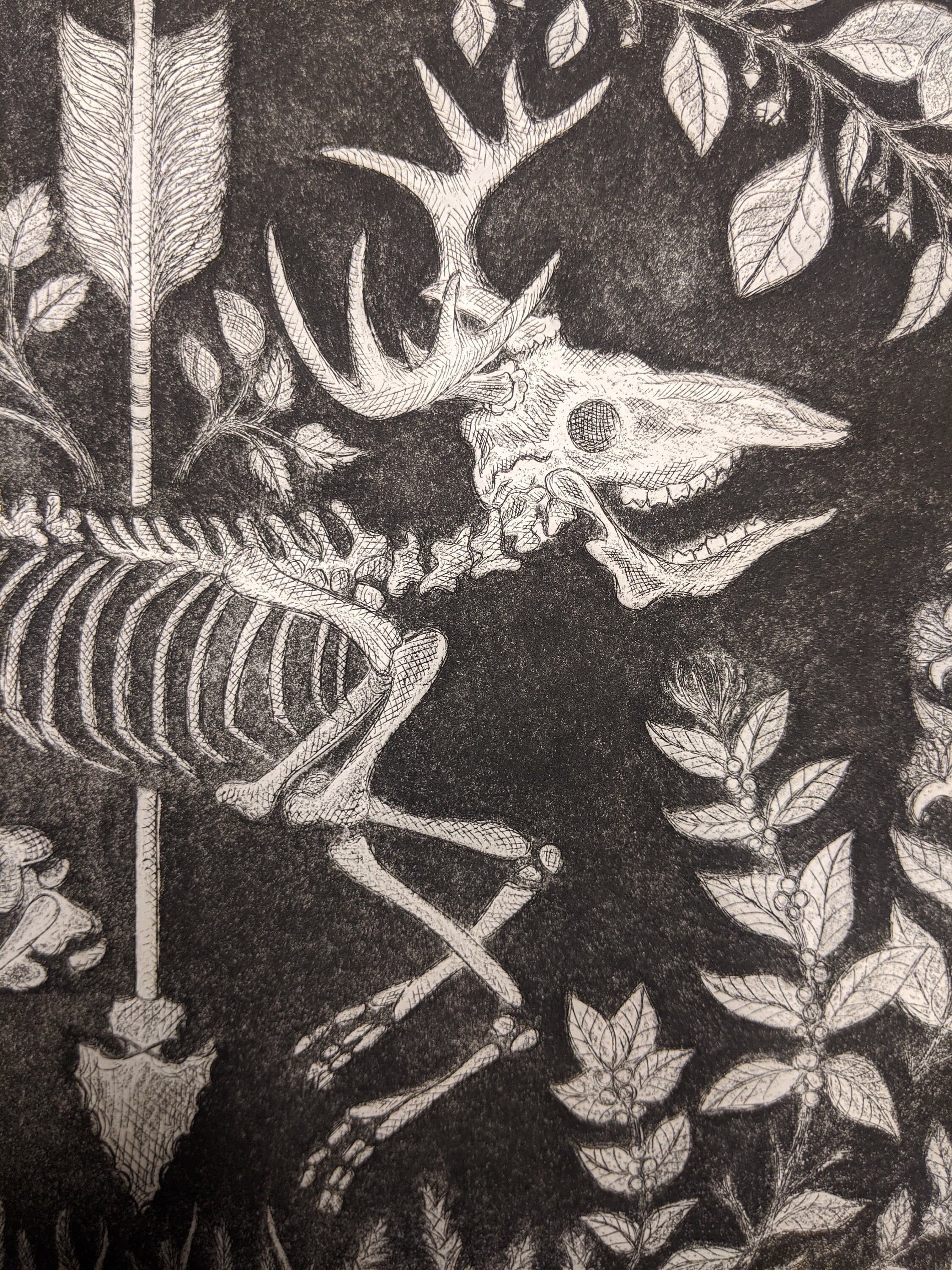 Deer Skeleton Print - Copper Etching and Aquatint - Etsy