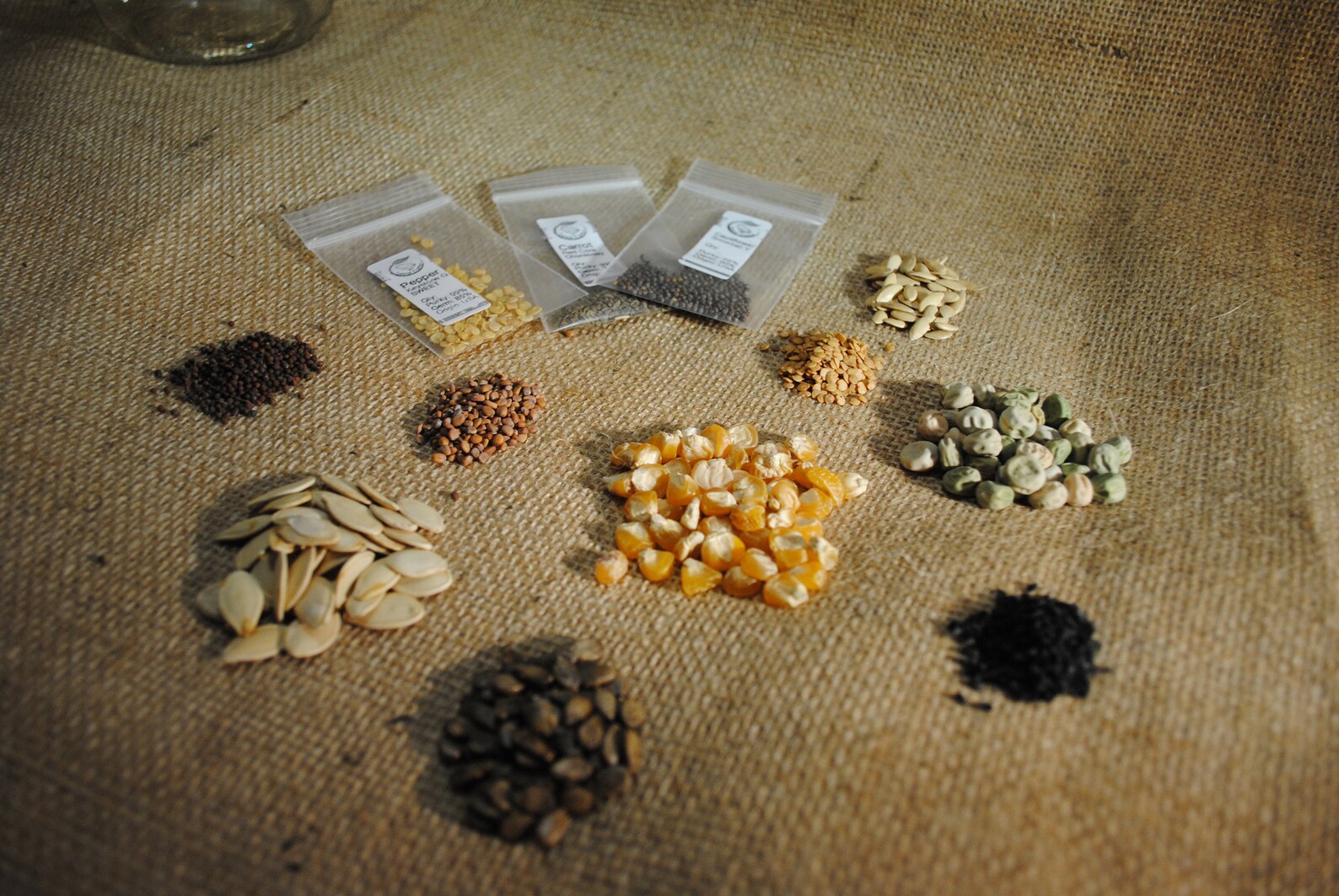 Vegetable Seed Pack Storage Seed Kit Sealed in Mylar Bag | Etsy