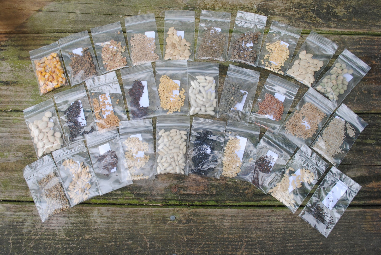 Heirloom Vegetable Seed Pack, 30 Varieties, Mylar Bag Storage - Etsy